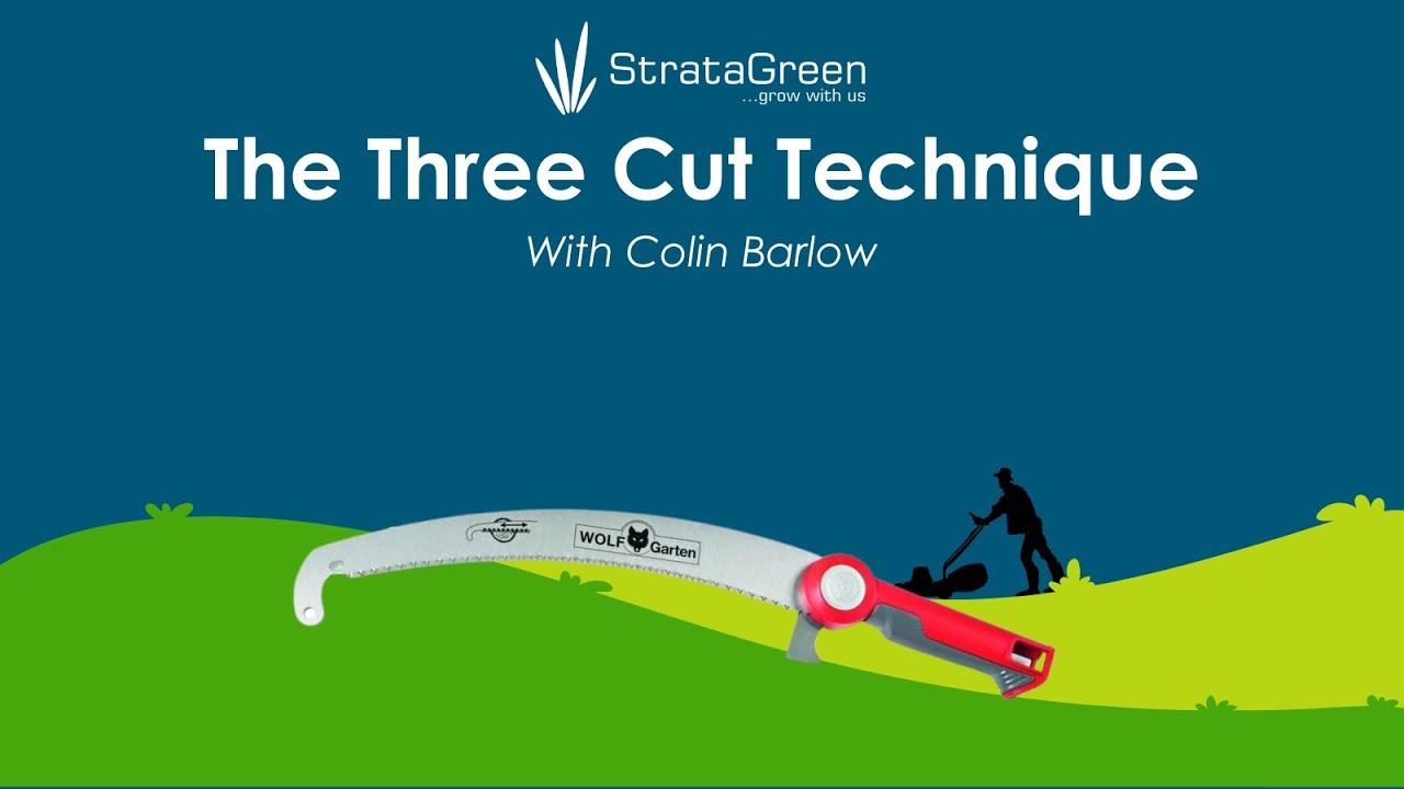 The Three Cut Technique Youtube