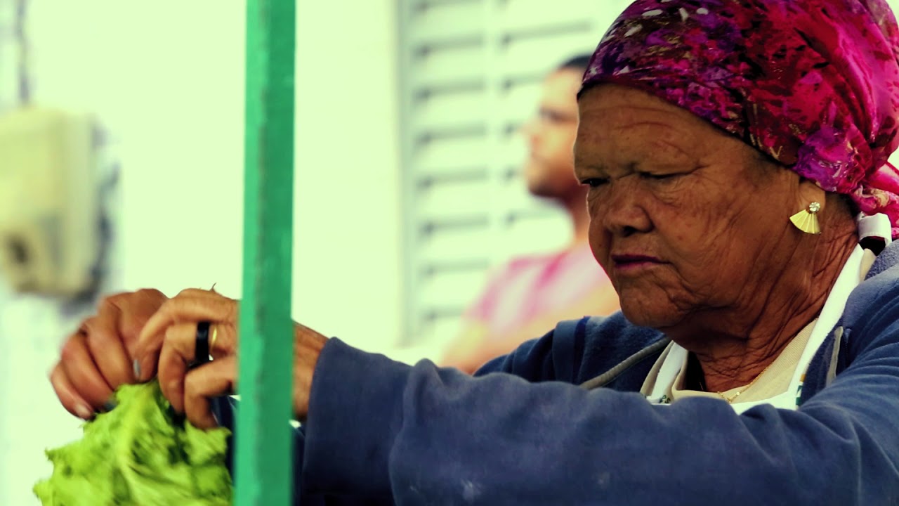 Documentário Conviver Youtube