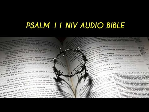 Psalm 11 Niv Audio Bible Youtube