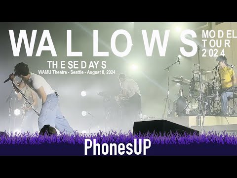 These Days Live Wallows Live Seattle 8 8 24 Model Tour 2024