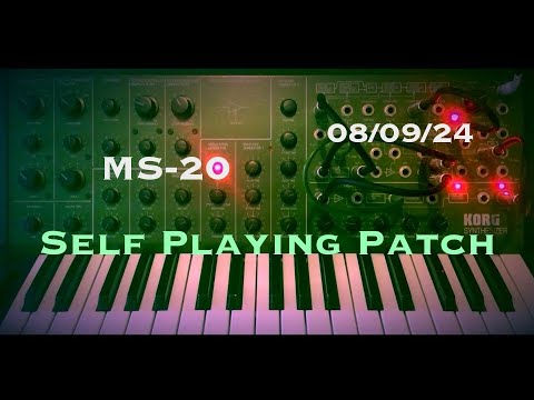 Korg Ms 20 8 9 24 Self Playing Patch Youtube
