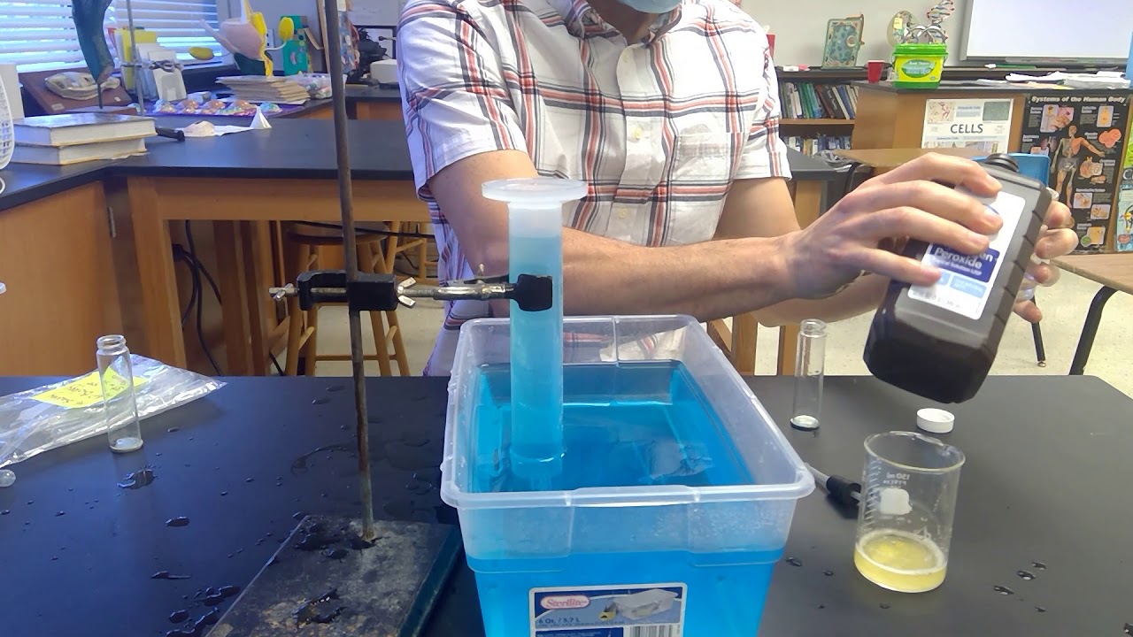 Enzyme Lab Procedure At James Byers Blog