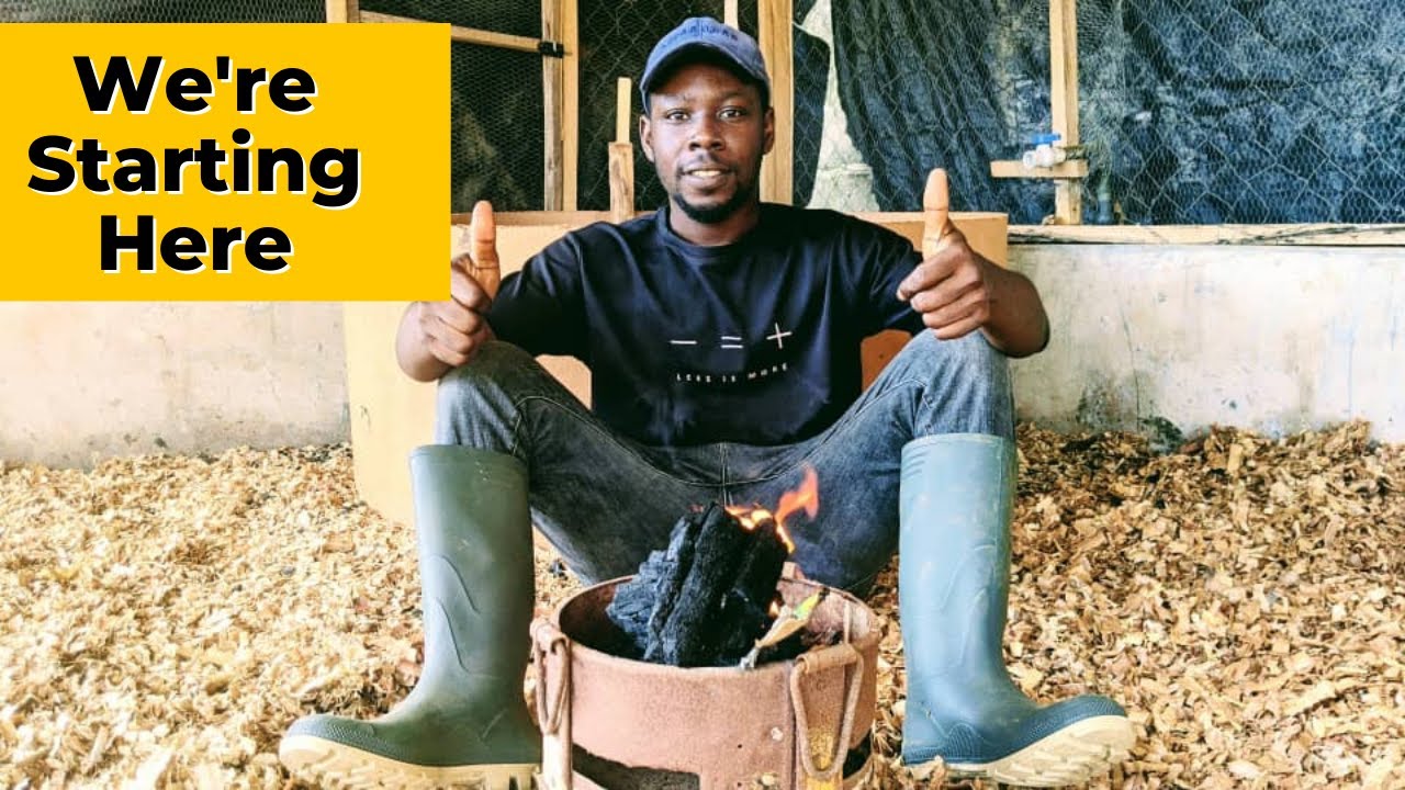 Finally Ready For The Broiler Brooding Management Series Youtube