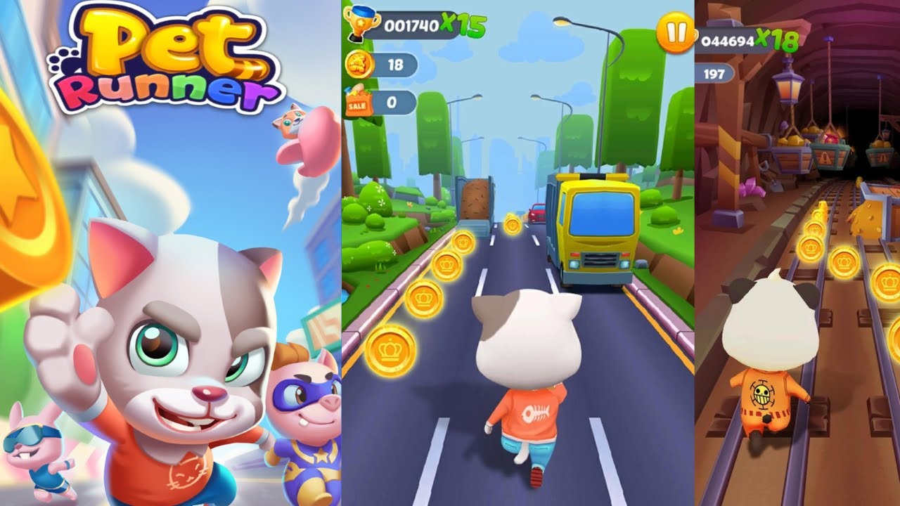 Pet Runner Gameplay Pet Running Game Pet Runner Game Walkthrough