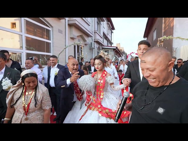 NICOLAE GUTA ASTA-I NUNTA CU PUTERE 2025 Nunta SINTESTI ASTA-I NUNTA CU ...