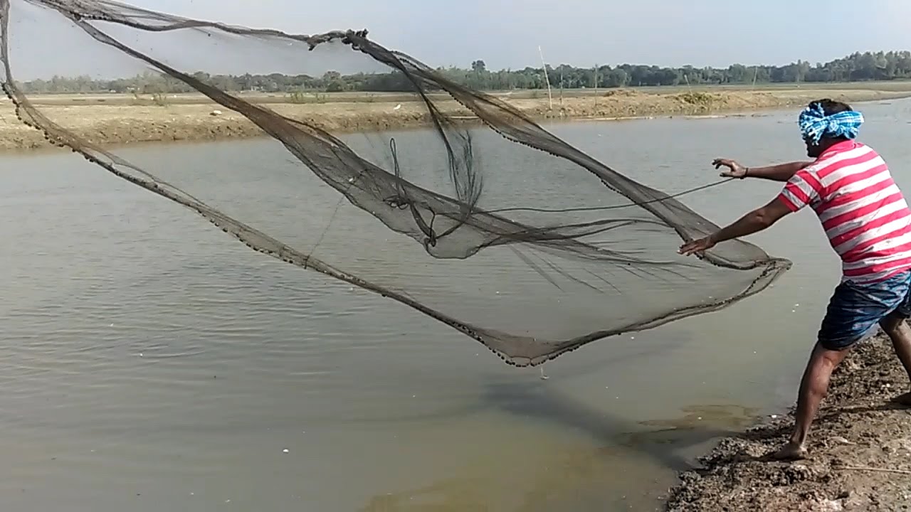 Cast Net Method At Shaun Williamson Blog