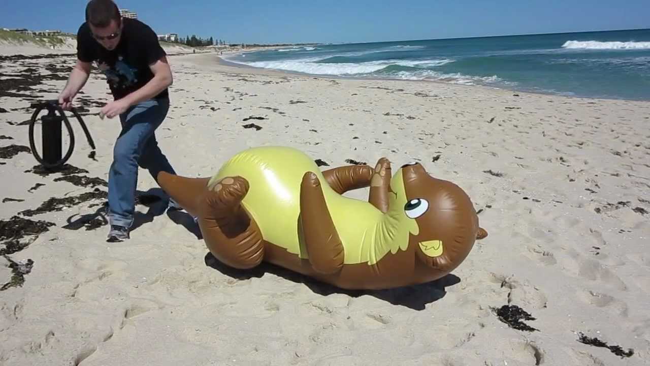 Puffypaws Otter Inflation Youtube