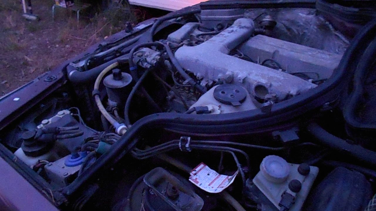 Dscn6544 Youtube