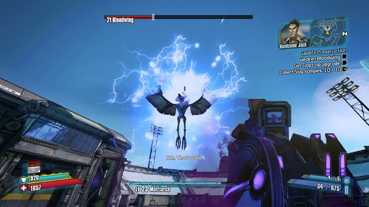 Borderlands 2 Bloodwing Boss Fight Youtube