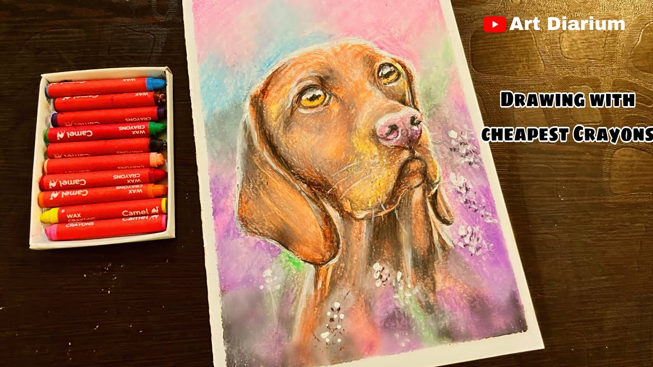 Drawing A Dog With Most Cheapest Crayons Step By Step For Beginners