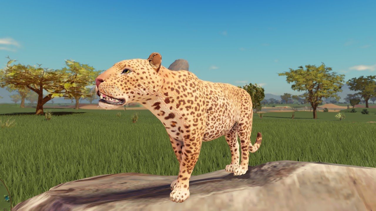 A Vida De Um Leopardo De Filhote Até Adulto Savannah Life Roblox