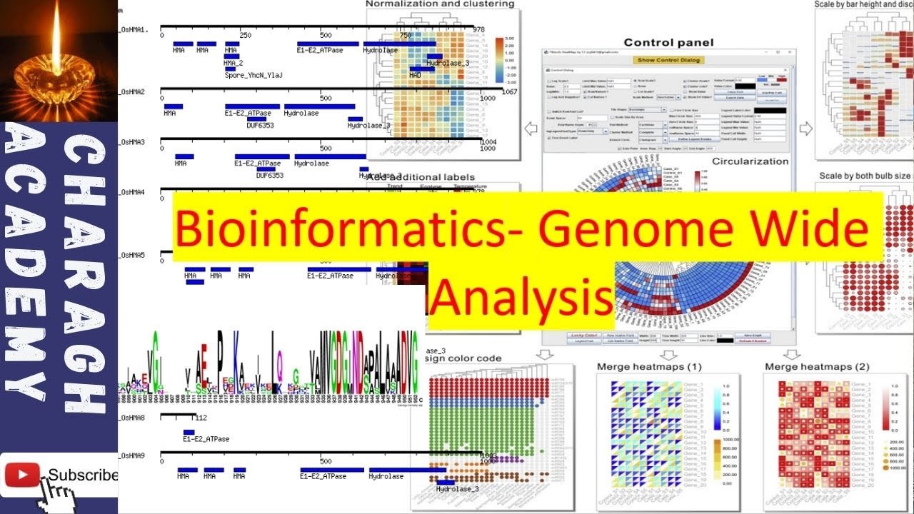 Bioinformatics Genome Wide Analysis Tbtools Youtube