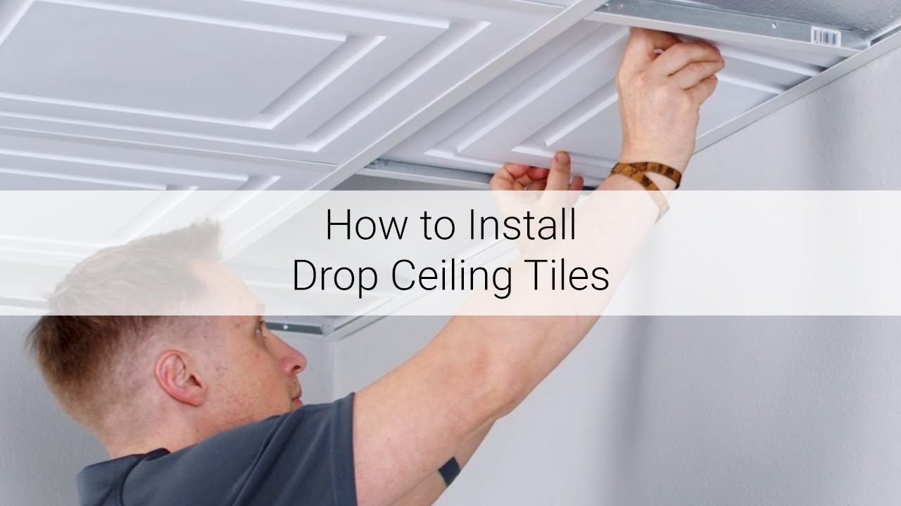 Easiest Ceiling Tiles To Install At Lola Goll Blog