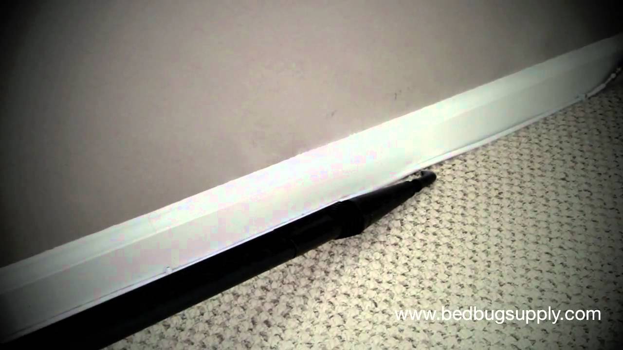 Kill Bed Bugs With Steam On A Baseboard Youtube