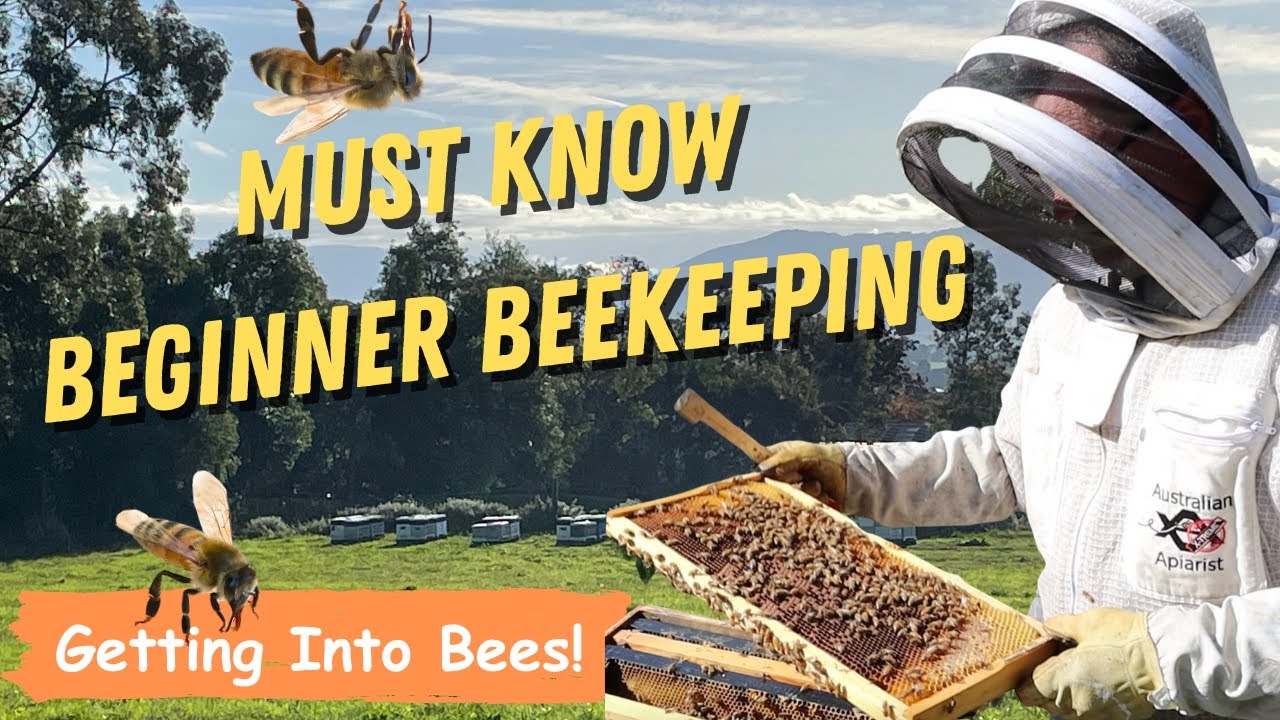 Beekeeping 101 Don T Start Beekeeping Until You Watch This Essential
