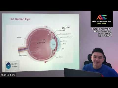 Uasa Form 3 Science Chapter 1 Stimuli Response Eye Structure