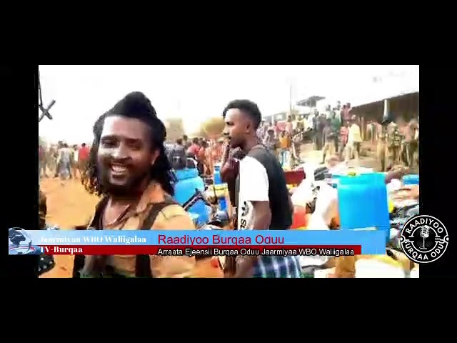 A Fi Gaaffii Qindeessaa Waajjira Dhimmoota Waraanaa Jaarmiyaa Waraana