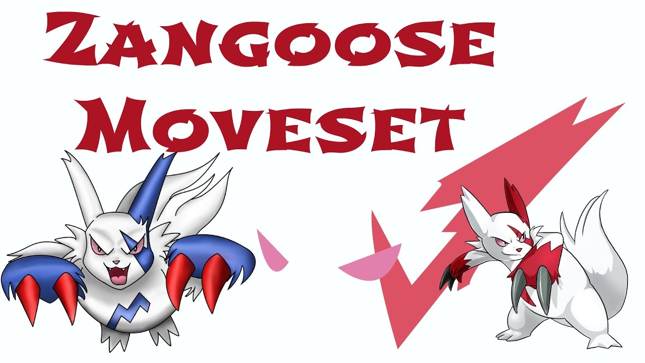 Zangoose Pokemon Xy Moveset Build Toxins Youtube