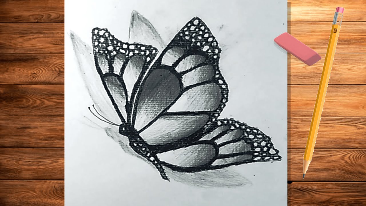 How To Draw Beautiful Butterfly Step By Step