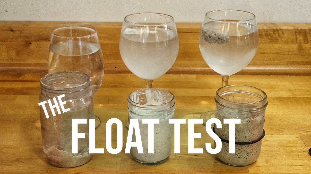 How To Do The Float Test For Sourdough Starter Youtube
