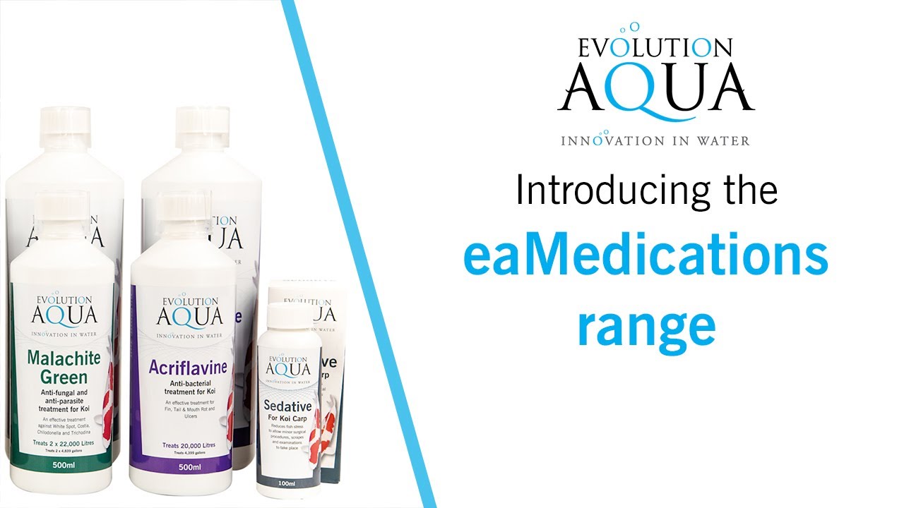 Introducing Evolution Aqua Eamedications Youtube