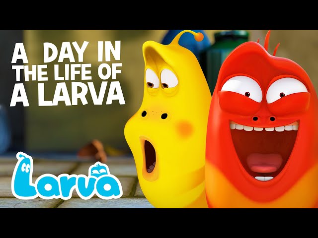 A Day In The Life Of A Larva Larva Cartoons For Kids Wildbrain