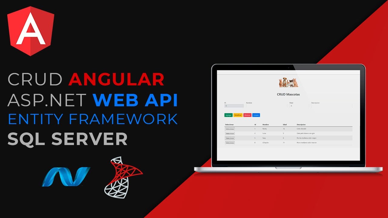 рџ ќ Crud Angular 13 Bгўsico Con Asp Net Web Api Y Sql Server Youtube