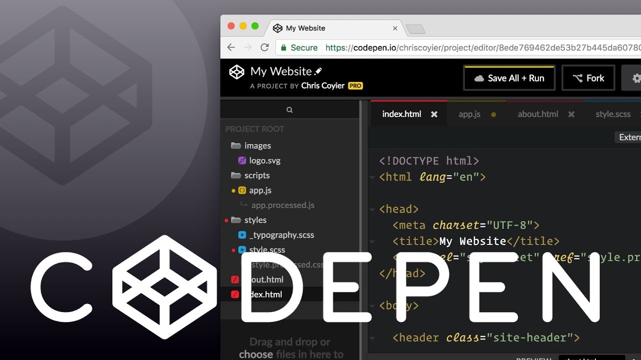 How To Use Codepen To Improve Your Skills Youtube
