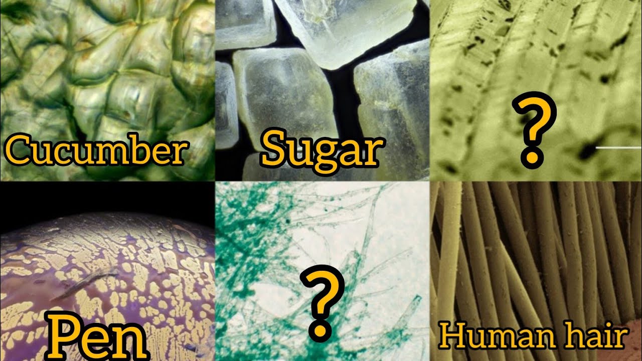 Everyday Objects Under Electron Microscope Youtube