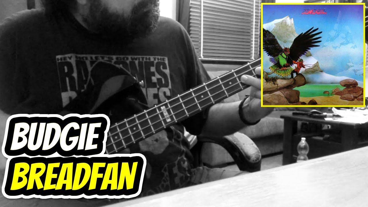 Budgie Breadfan Bass Cover Youtube