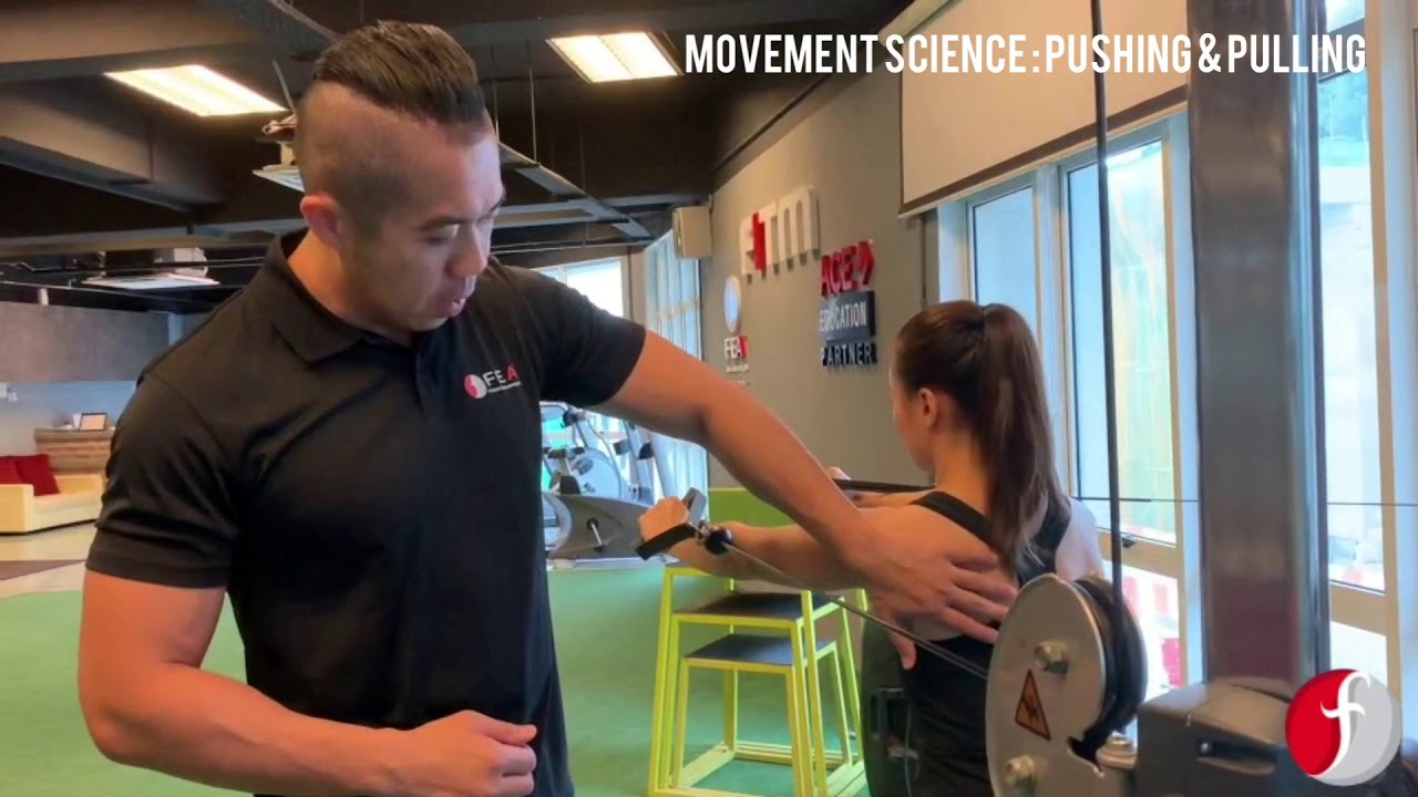 Pushing Pulling Movement Youtube