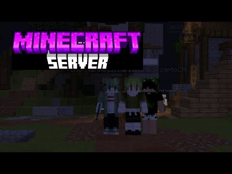 рџ ґlive Chill Stream Minecraft Server 2 Youtube