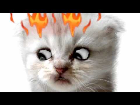 Greshell Flores S Webcam Video From May 24 2012 05 53 Pm Youtube