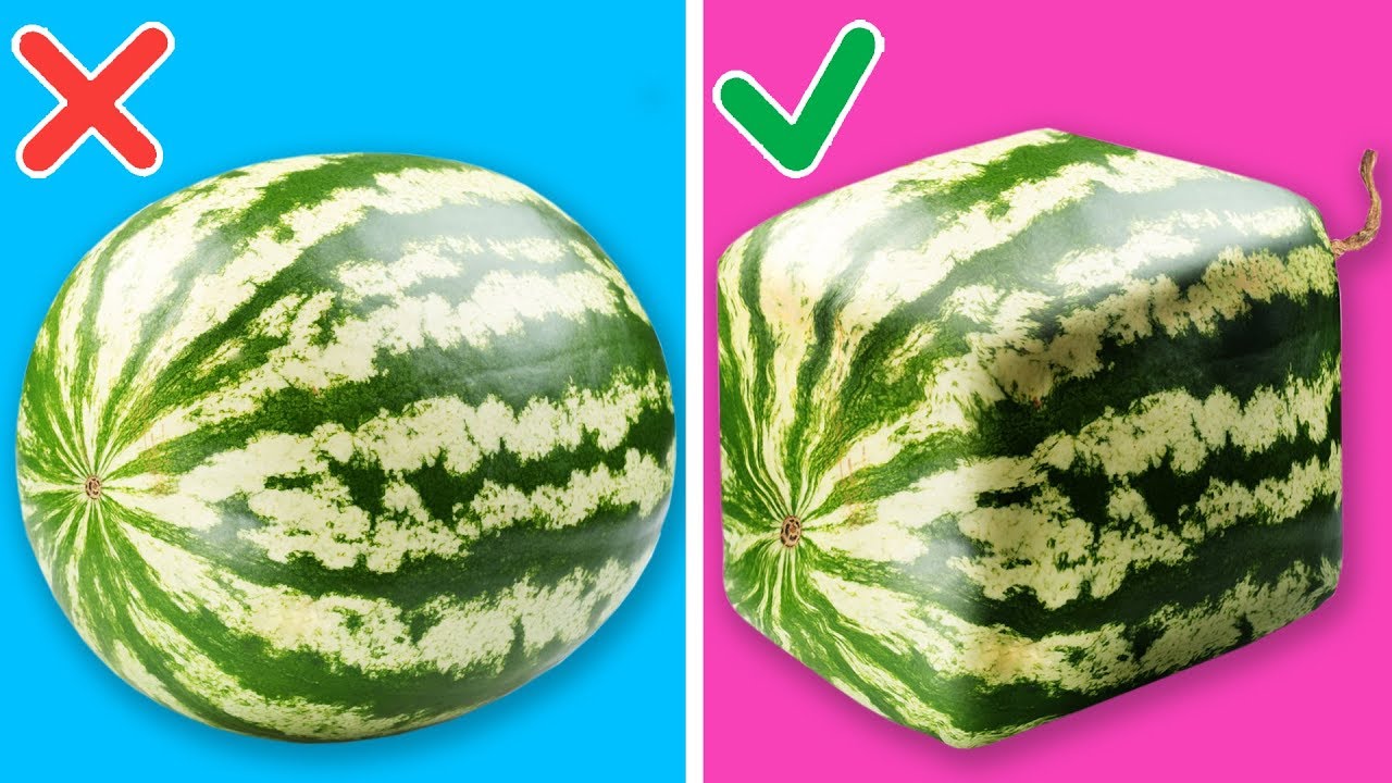 15 Unbelievably Easy Watermelon Hacks Crafts Ace