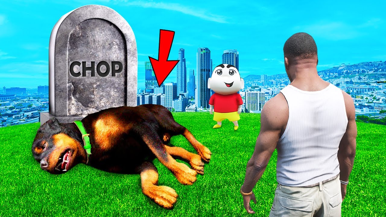 Franklin Lost Chop In Gta 5 Youtube