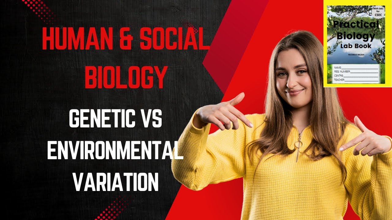 Genetic Vs Environmental Variation Youtube