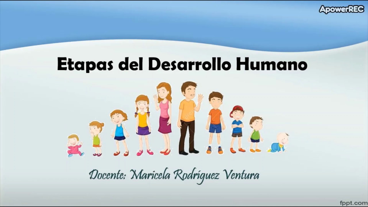 Las Etapas Del Desarrollo Humano Slyi