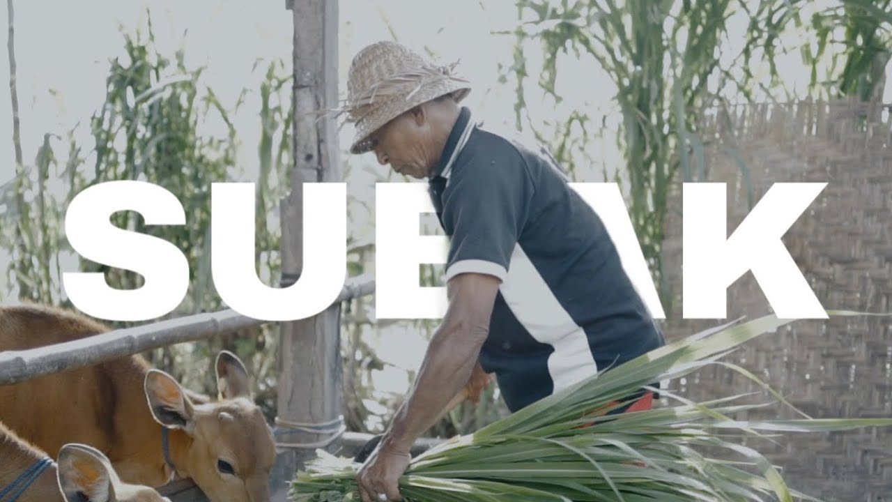 Film Dokumenter Subak Youtube