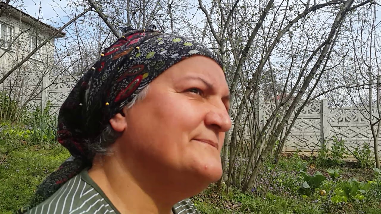Siyade Youtube