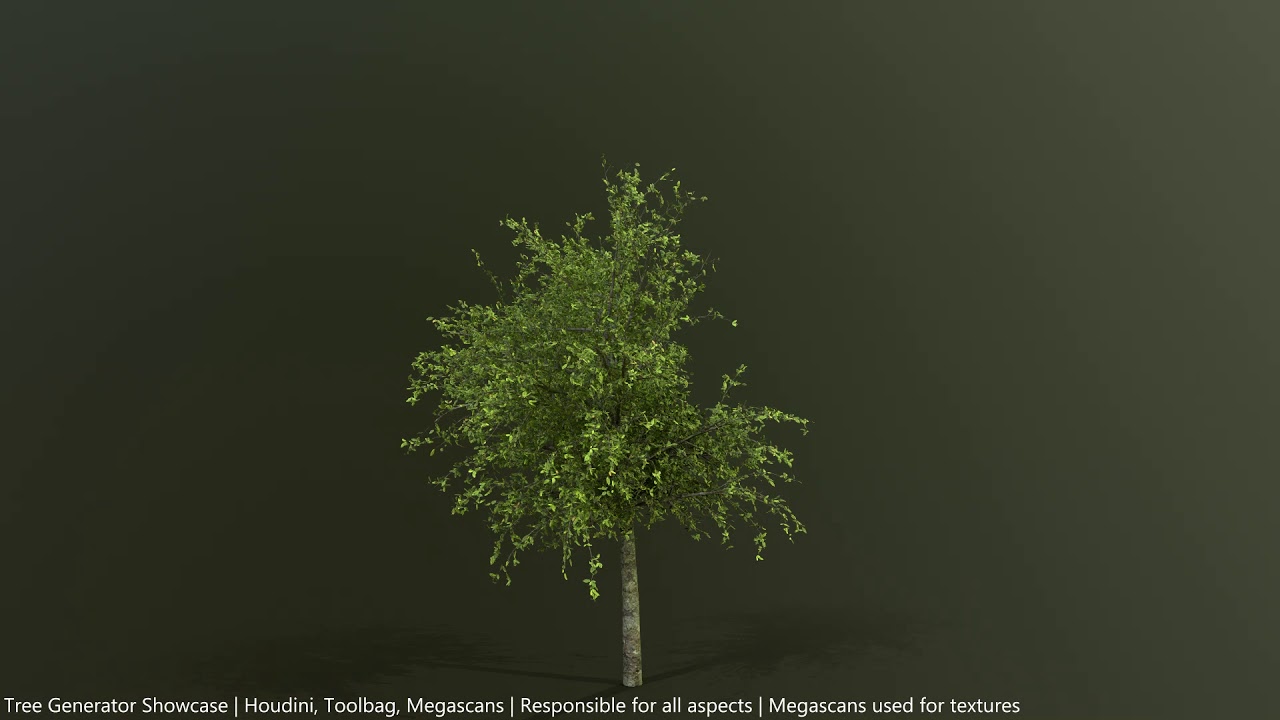 Procedural Trees Youtube