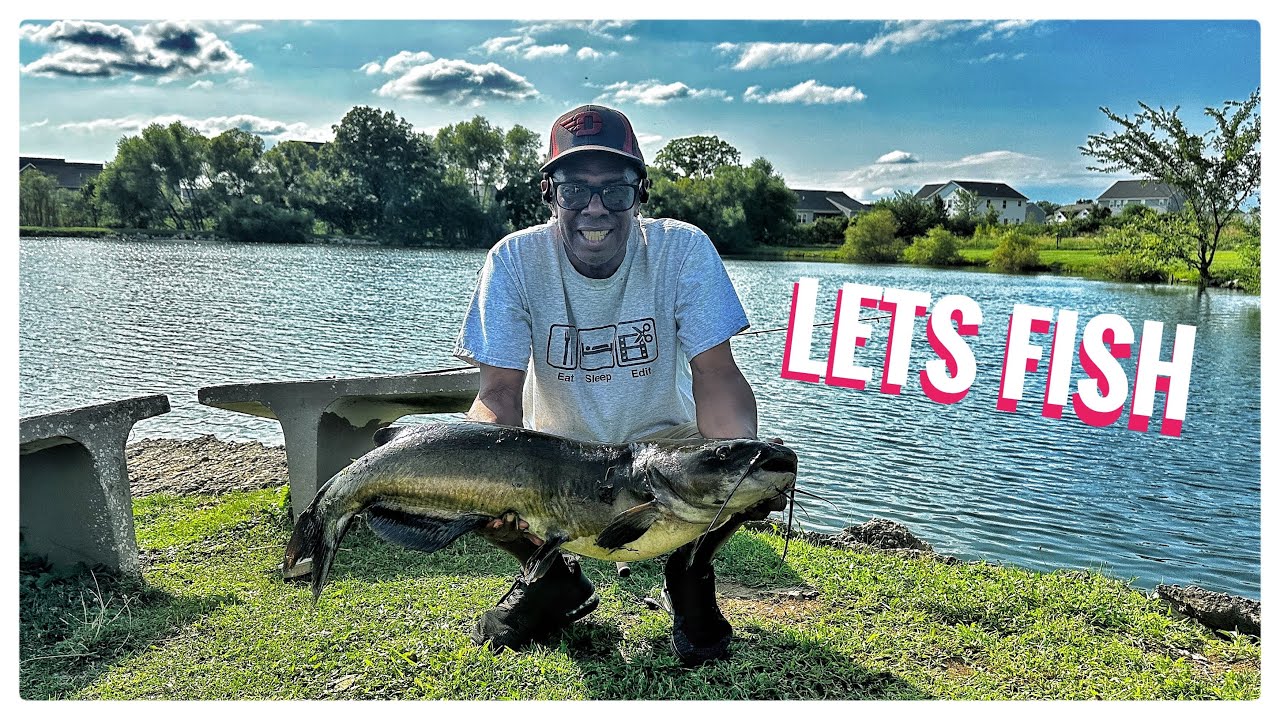 Lets Fish Youtube