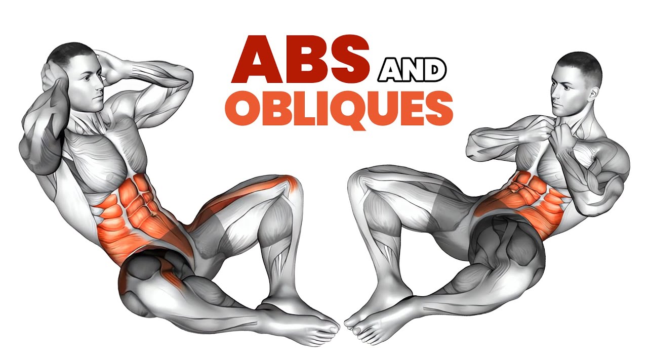 Beginner Ab Workout At Home Easy Abs Obliques Exercises No