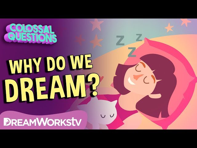 Colossal Questions Why Do We Dream English Esl Video Lessons