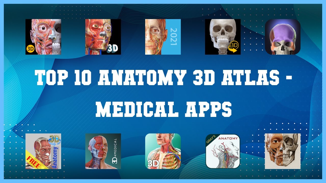 Top 10 Anatomy 3d Atlas Android Apps Youtube