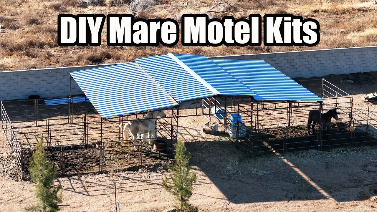 Mare Motels For Sale Durable Affordable 4 Stall Horse Barn Kits