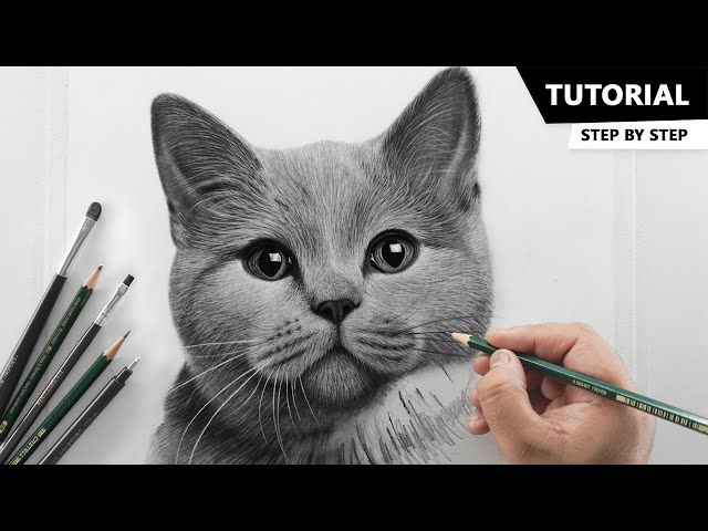 Realistic Kitten Coloring Realistic Kitten Coloring Page
