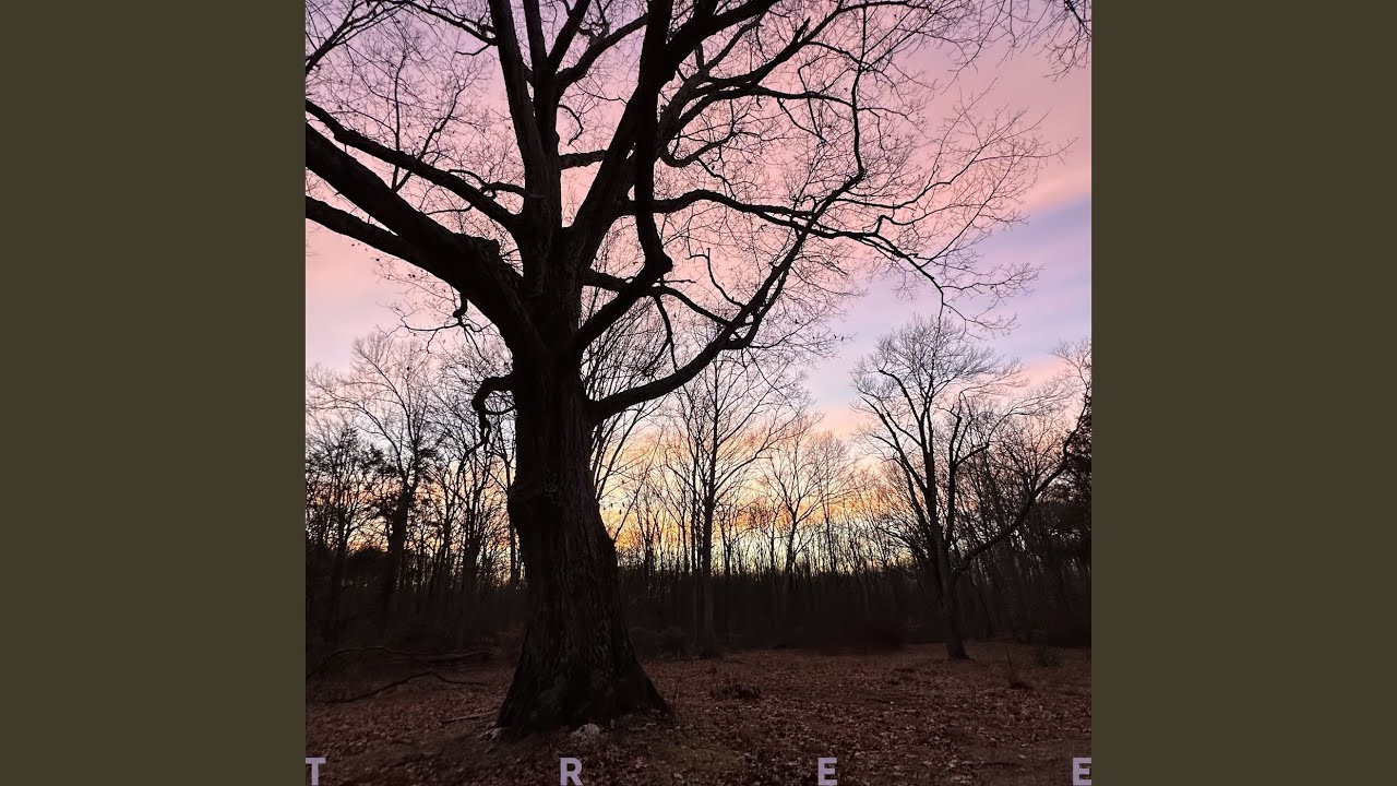 Tree Youtube Music