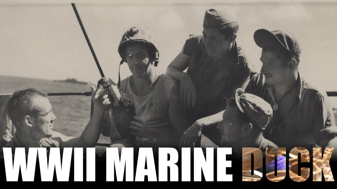 Sgt Siwash The Marine Duck Youtube