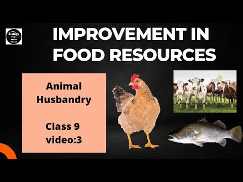 Animal Husbandry Class 9 Science Animalhusbandry Class9biology