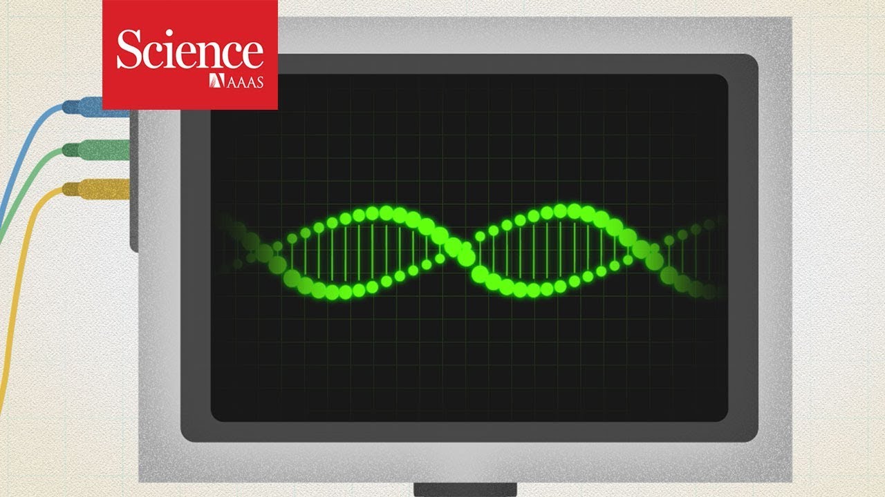 Science Explains Undead Genes Why Do Some Genes Turn On After Death